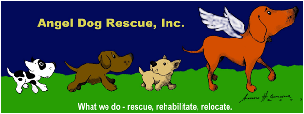 Giving Back | Appraisal Source, LLC